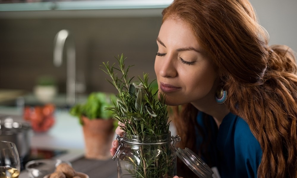 Rosemary Oil Offers Best Diy Dry Scalp Remedies