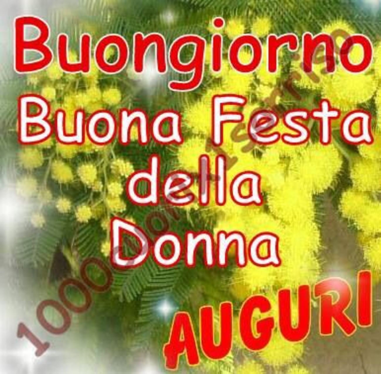 Immagini Buongiorno E Auguri Per La Festa Delle Donne Immagini Auguri