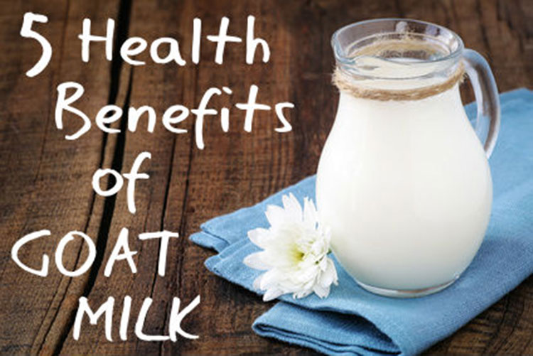 5 Amazing Goat Milk Benefits Uses And Nutritional Values