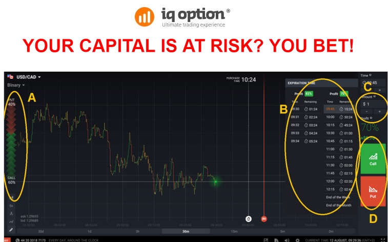 Iq Option Review Binary Scam Alerts