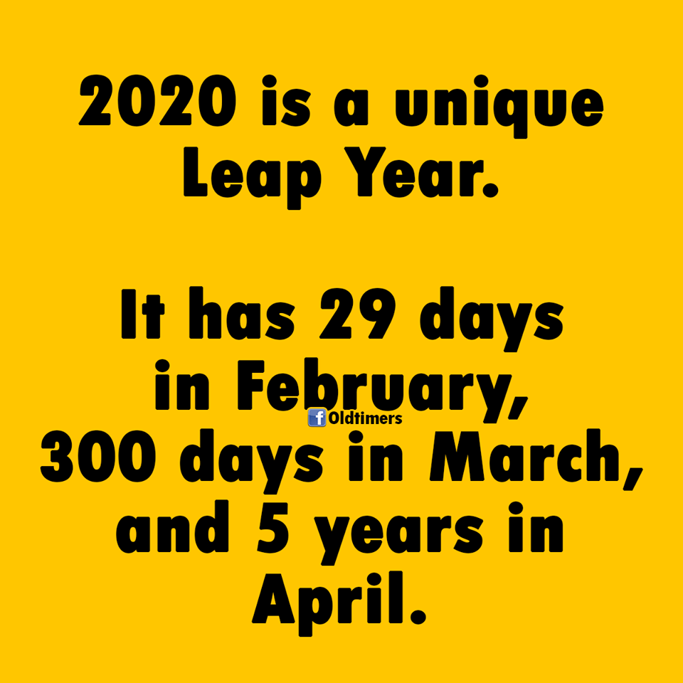 A Very Unique Leap Year Bits And Pieces