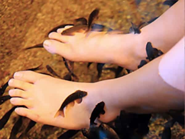 The Ticklish Fish Foot Spa