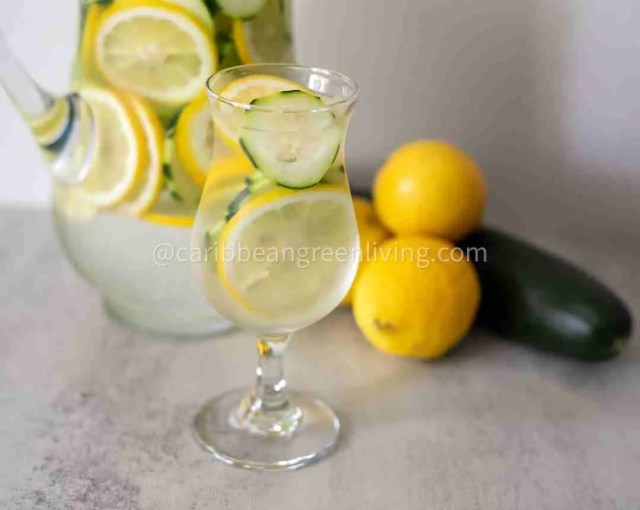 Easy Cucumber Lemon Water Recipe Caribcast