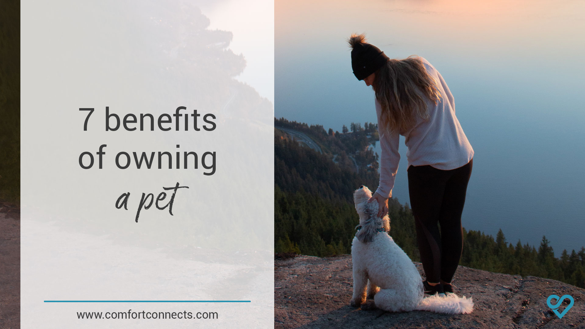 7 Benefits Of Owning A Pet Comfort Connects