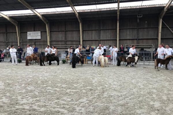 Shetlandkeuring 10 September 2022 Ponyclub De Gele Rijdertjes