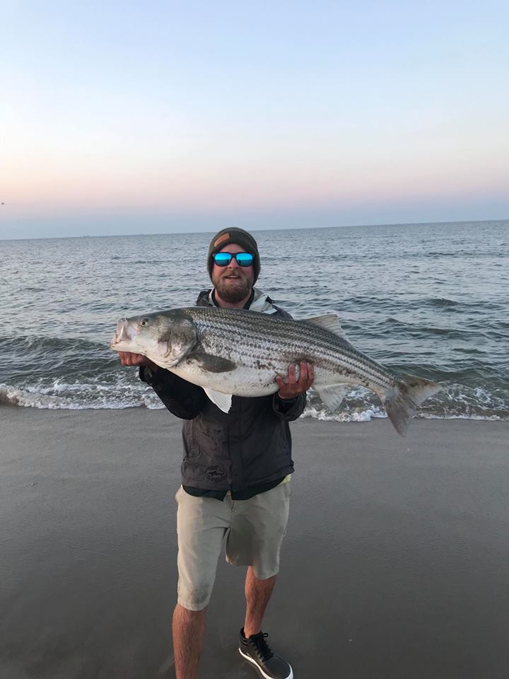 Striped Bass Catching Is Picking Up Delaware Surf