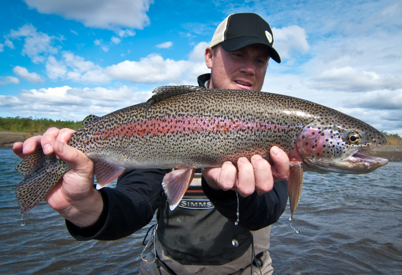 Rainbow Trout In Alaska Articles About Fly Fishing For Ak Trout