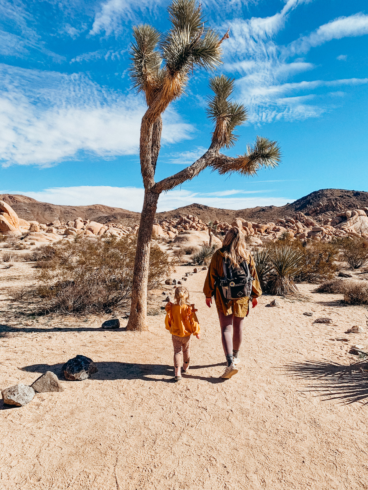 12 Gorgeous Joshua Tree Hikes You Need To Take From Easy To Difficult