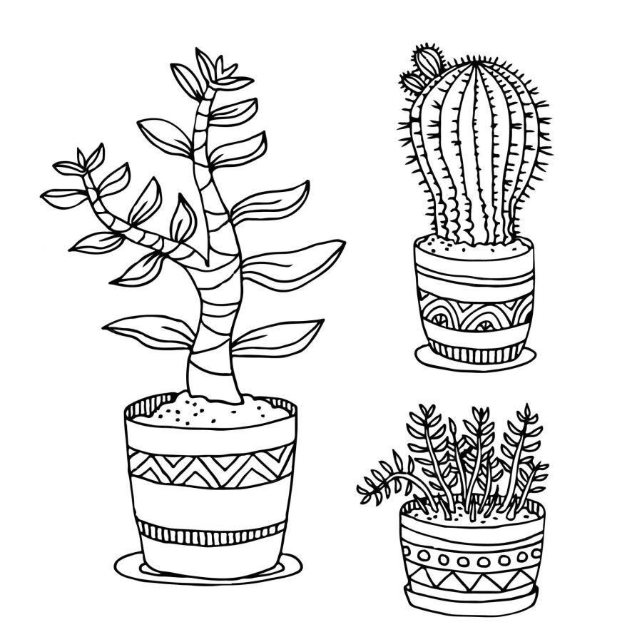 Desenhos De Plantas Para Colorir Desenhos Imprimir