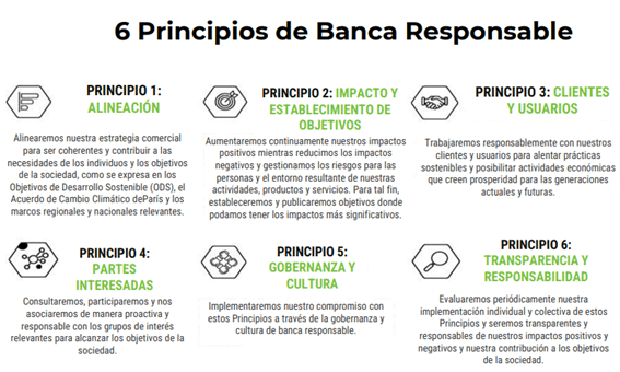 Academia De Los Principios De Banca Responsable De La Onu Una