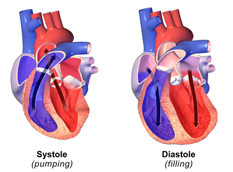 Difference Between Systolic And Diastolic Pressure Compare The