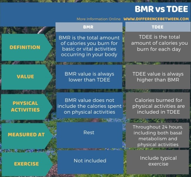 Difference Between Bmr And Tdee Compare The Difference Between