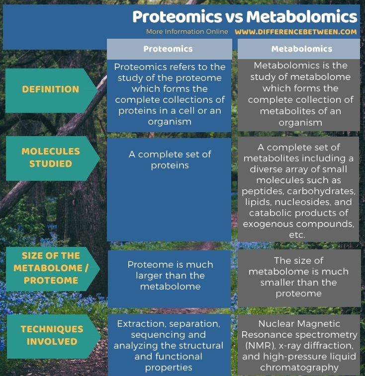 Difference Between Proteomics And Metabolomics Compare The Difference