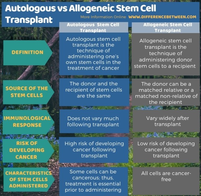 Difference Between Autologous And Allogeneic Stem Cell Transplant