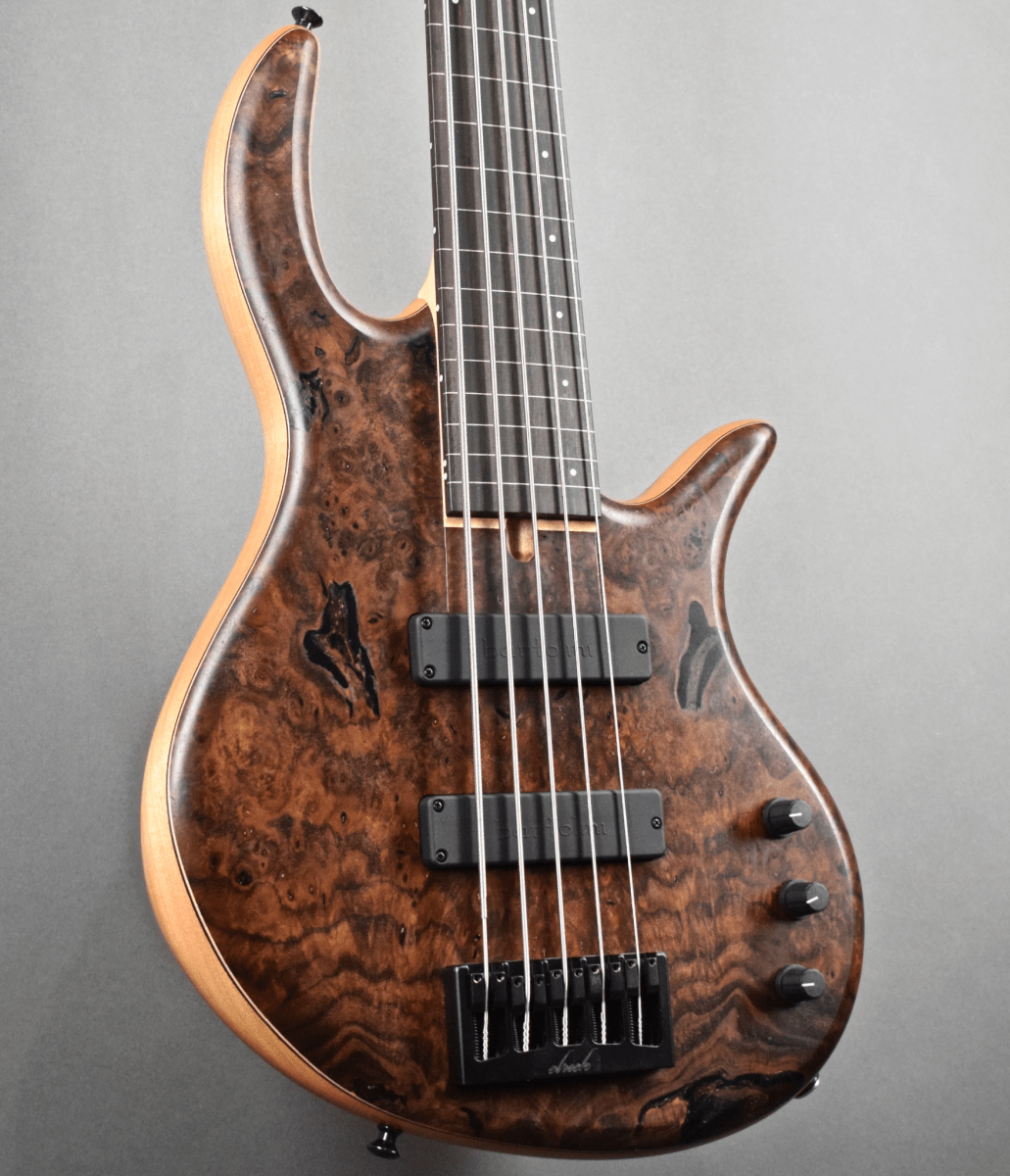 Elrick Gold Series Hand Carved E Volution Fretless 5 String Bass