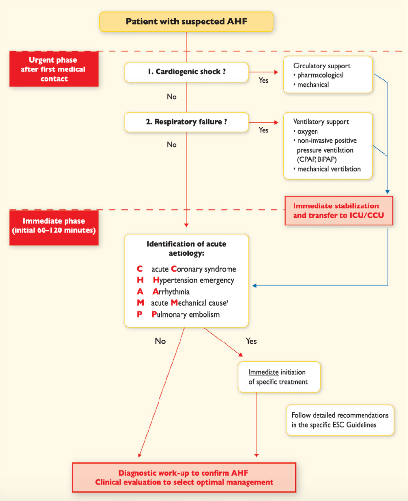 Acute Heart Failure Ahf Esc 2016 Uk