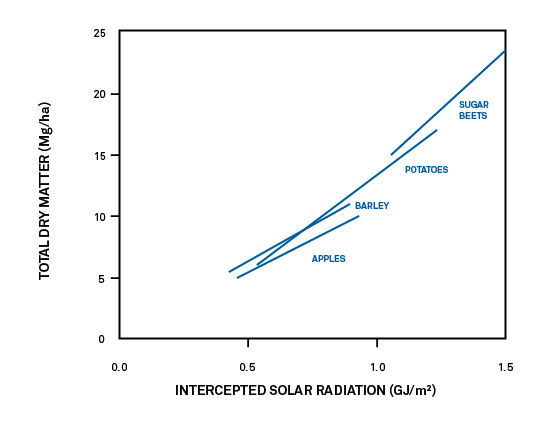 How To Assess Maximum Potential Biomass Production—simplified