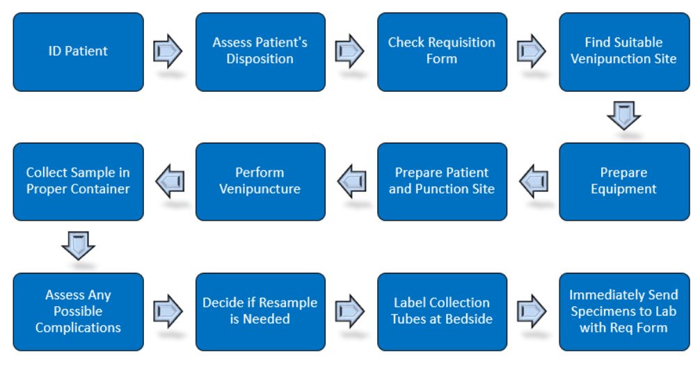 Phlebotomy Procedure Step By Step E Phlebotomy Training