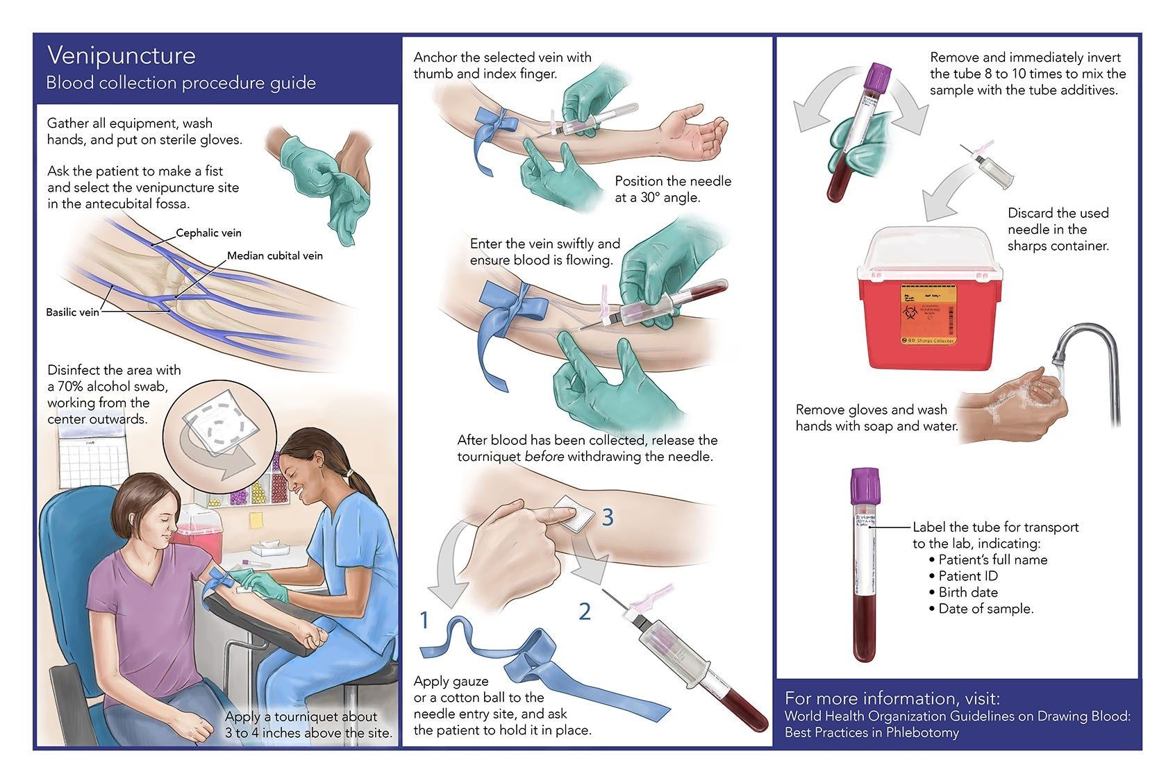 Phlebotomy Procedure Step By Step E Phlebotomy Training