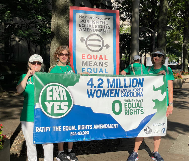 The Era Has Been Ratified Now What Equal Rights Amendment North