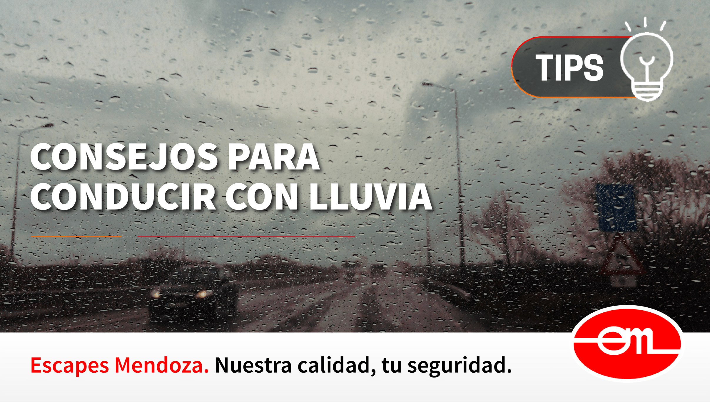 Manejar Con Lluvia Precauciones Y Consejos Escapes Mendoza