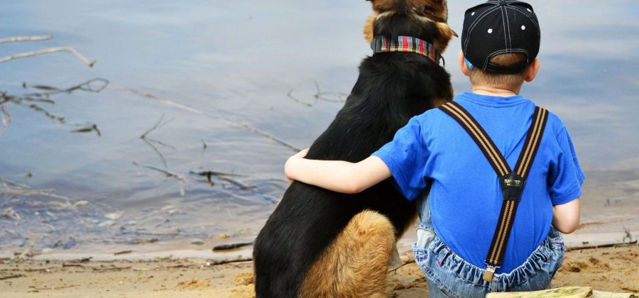 7 Imagens Que Provam Que O Cachorro é O Melhor Amigo Do Homem