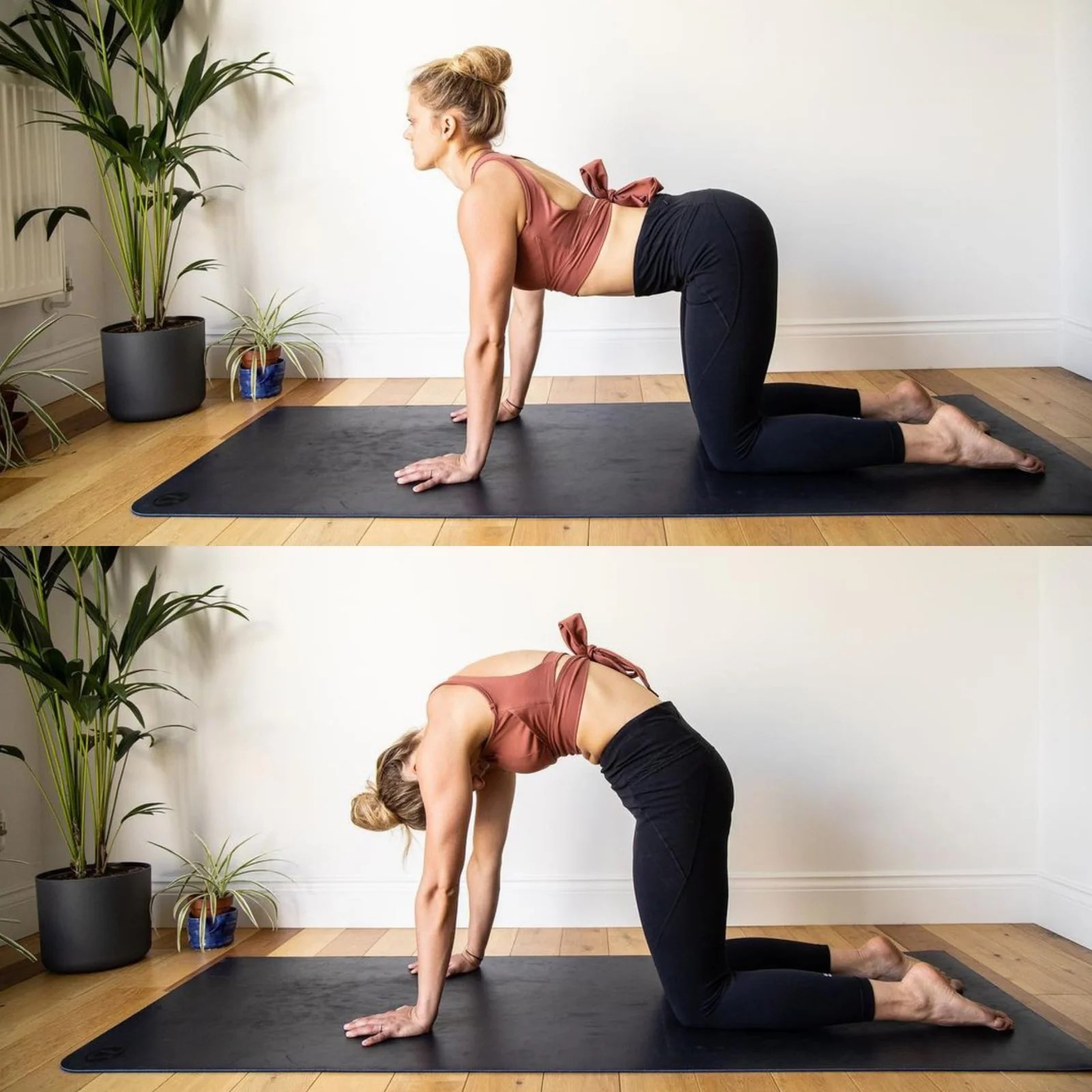 Cat Cow Pose Bitilasana Marjaryasana Step By Step Fitzabout