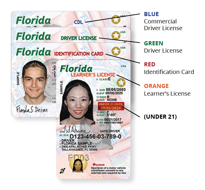 Coming Soon Floridas New Driver License And Id Card