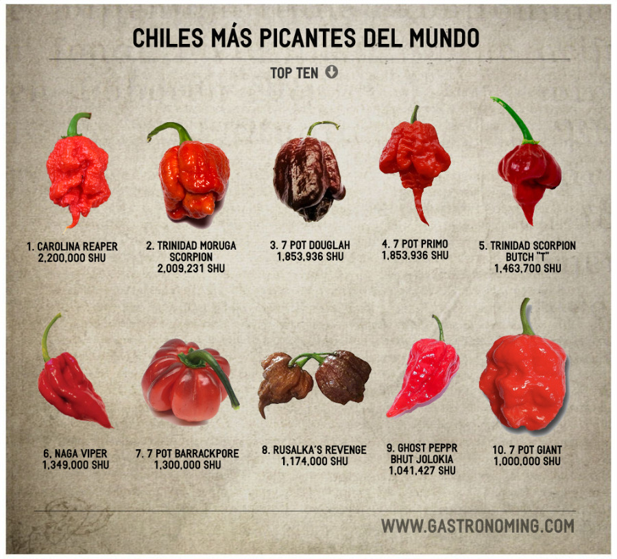 Top Ten Chiles Más Picantes Del Mundo