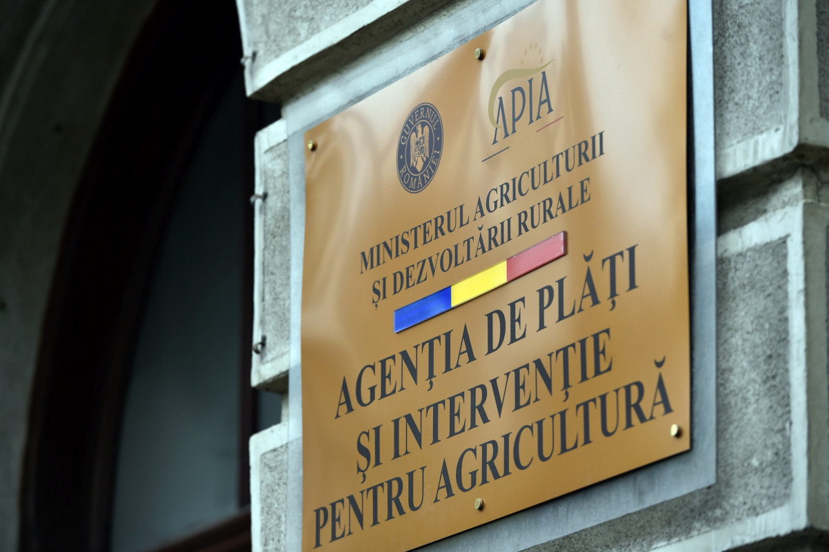 Apia Prelungeşte Până în Februarie Depunerea Cererilor Pentru Prima