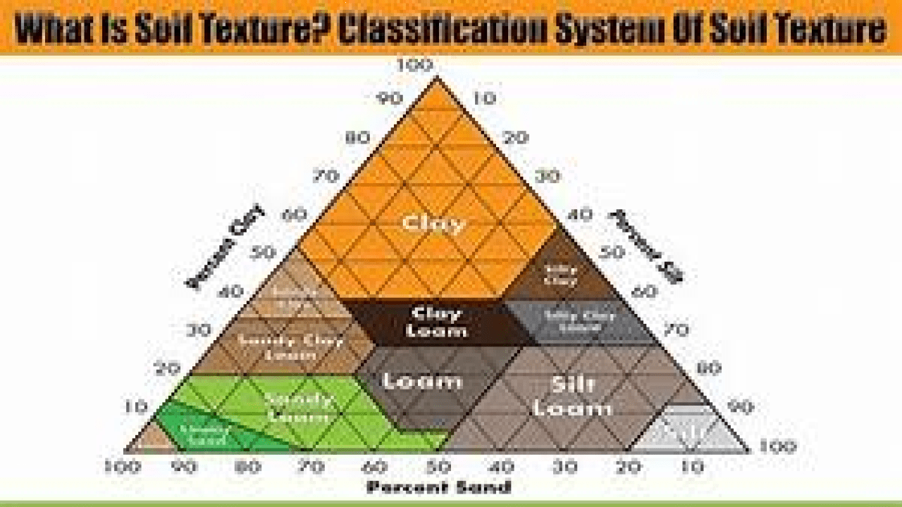 Classification And Distribution Of Soils Gktoday