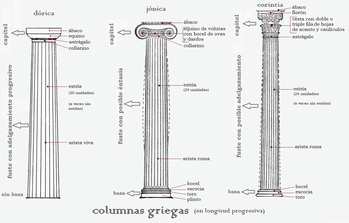 Columnas Griegas Glosario Ilustrado De Arte Arquitectónico