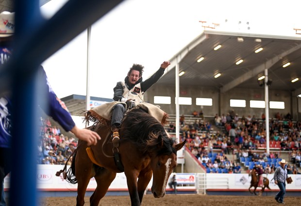 Prorodeo Animal Athletes Given Top Notch Care And Training For