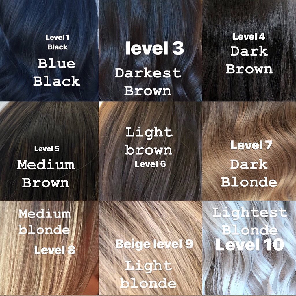 The Best Hair Color Chart With All Shades Of Blonde Brown Red And Black