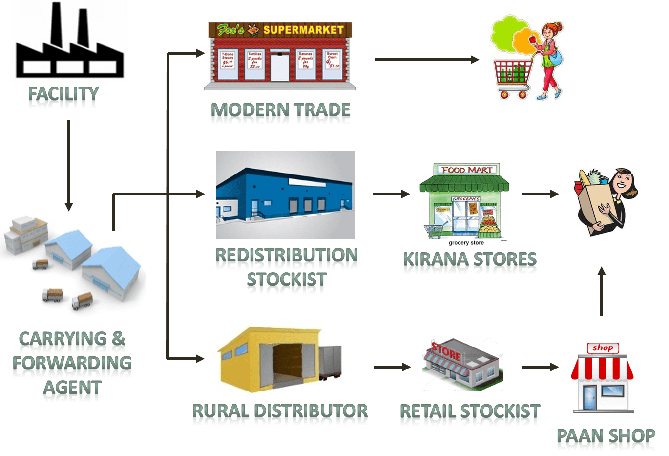 Is Fmcg The Most Exciting Supply Chain Hesol Consulting