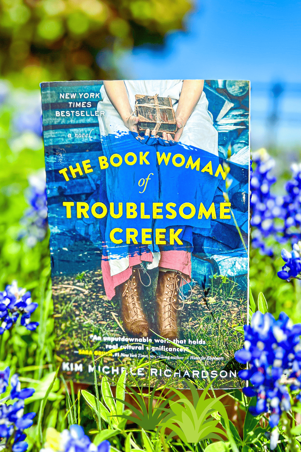 The Book Woman Of Troublesome Creek Review Idimitrova