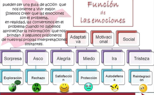 Las 7 Emociones Primarias Cuales Son Tipos Y Funciones Con Ejemplos