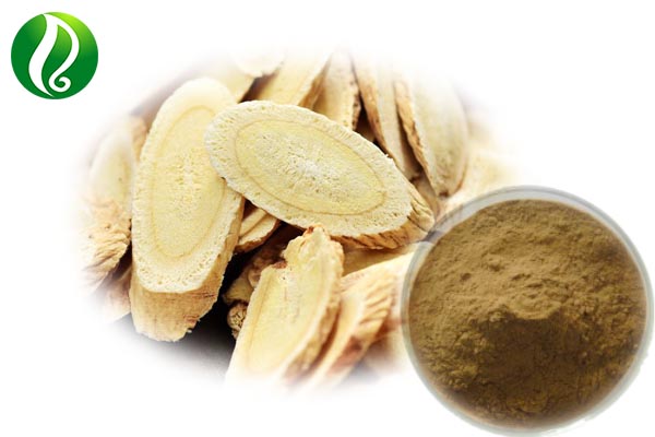 Anti Aging Astragalus Root Extract Cycloastragenol Herbal Extract