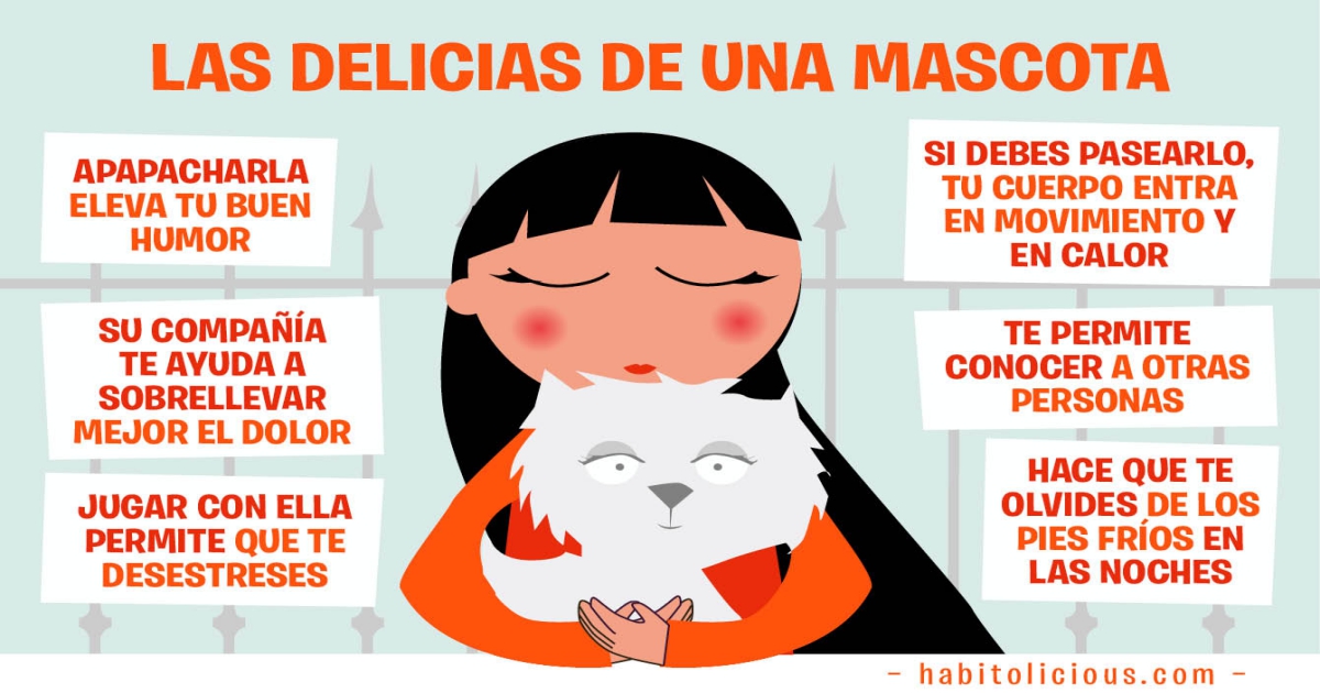 Beneficios De Tener Una Mascota En Casa Imagenes Educativas