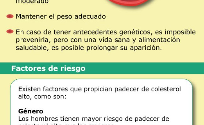 Infografia Hipercolesterolemia O Colesterol Elevado Otosection