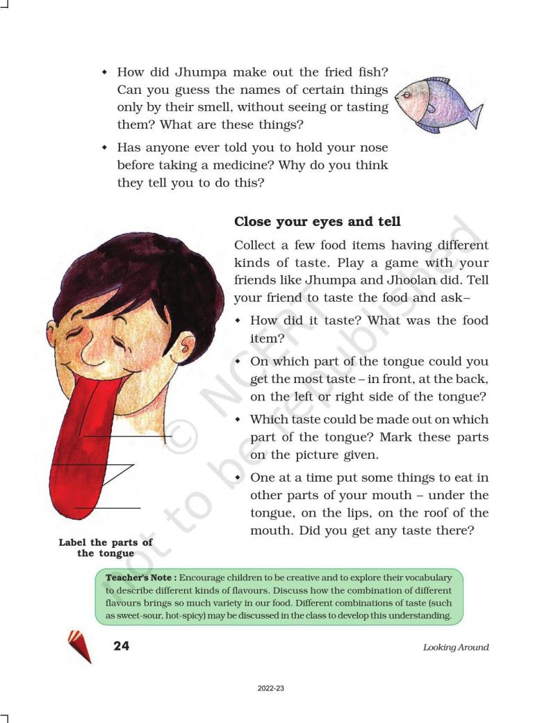 Ncert Book For Class 5 Evs Chapter 3 From Tasting To Digesting