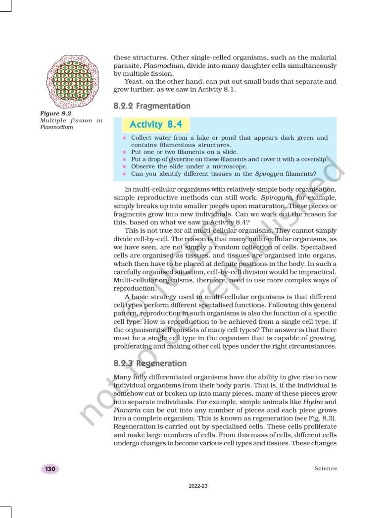 Ncert Book For Class 10 Science Chapter 8 How Do Organisms