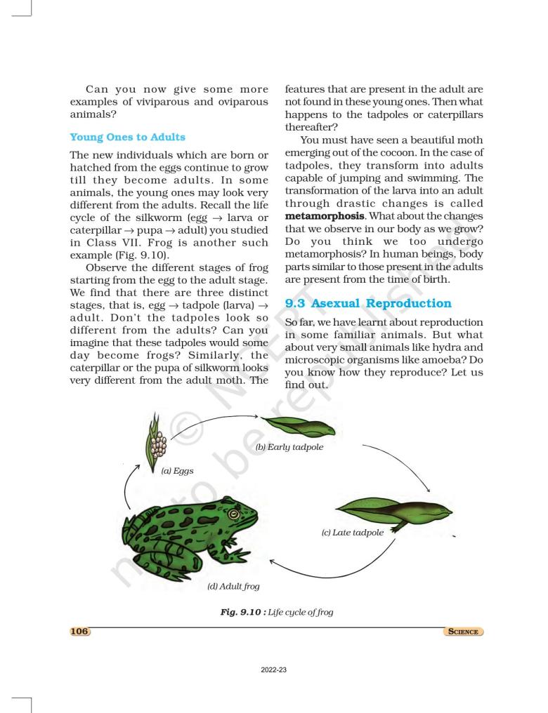 Ncert Book For Class 8 Science Chapter 9 Reproduction