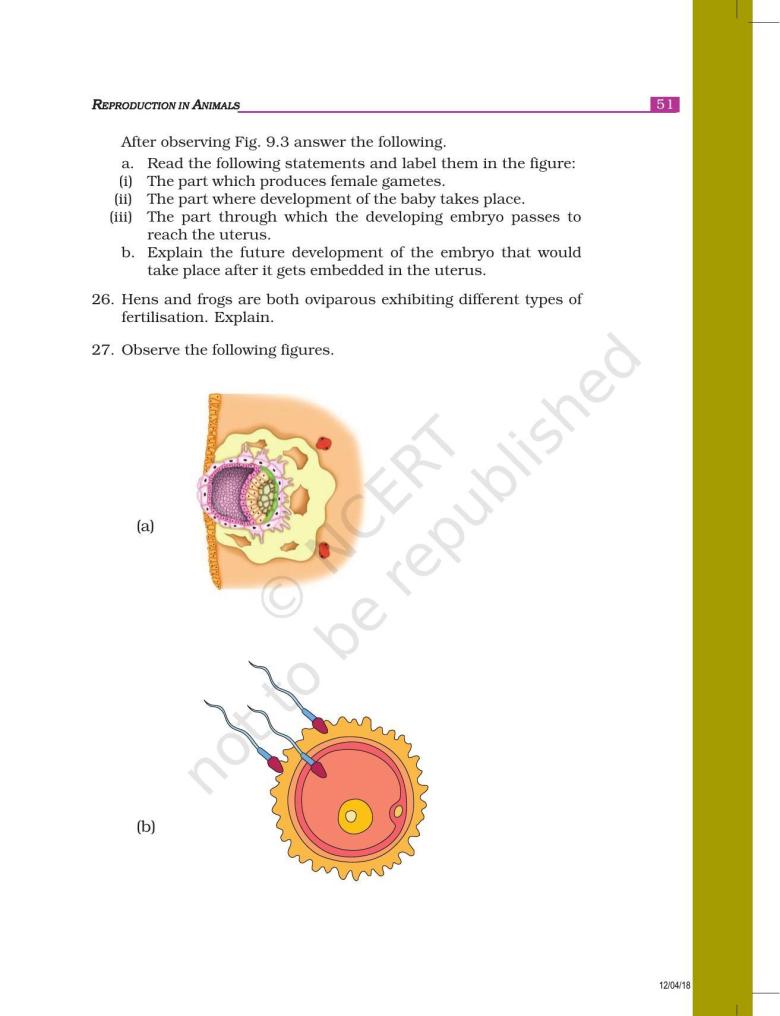 Ncert Exemplar Book For Class 8 Science Chapter 9 Reproduction In Animals