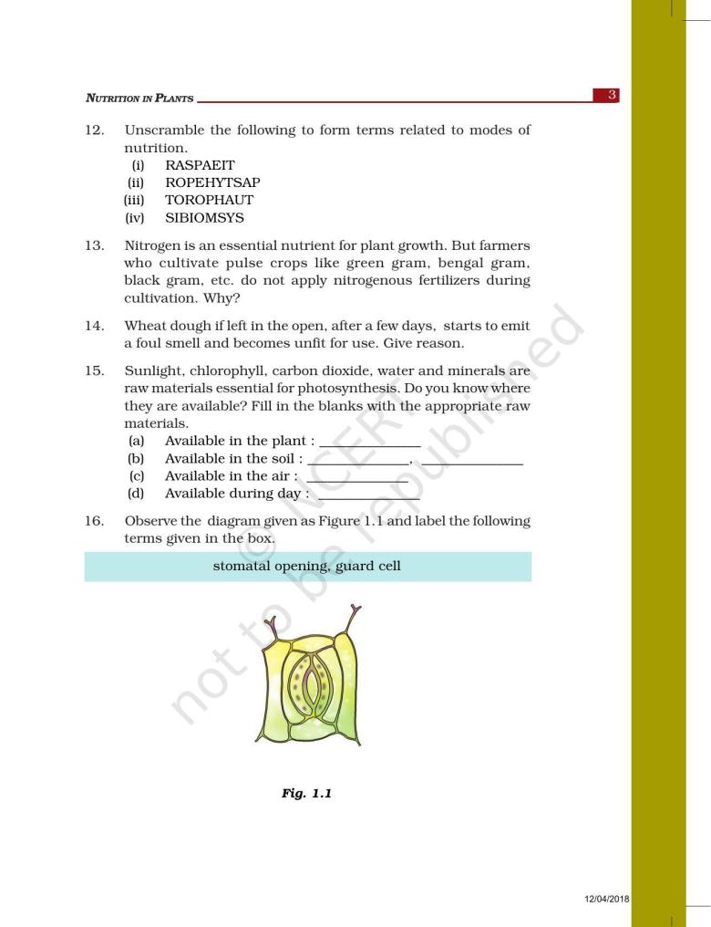 Ncert Exemplar Book For Class 7 Science Chapter 1 Nutrition In Plants