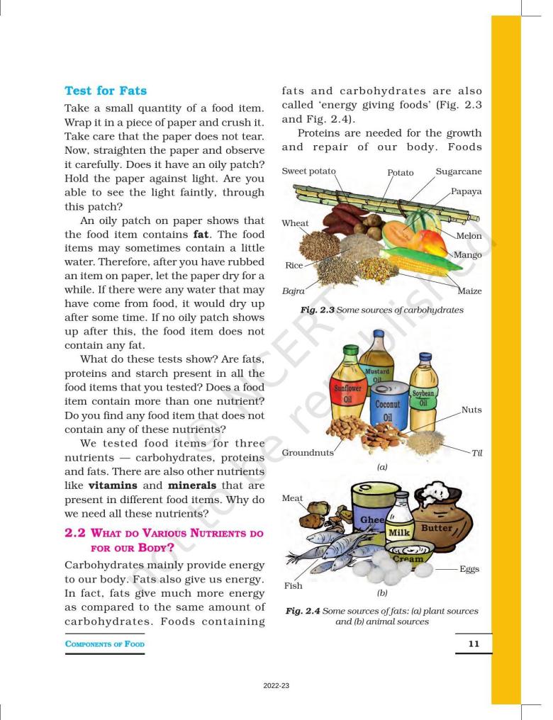 Ncert Book For Class 6 Science Chapter 2 Components Of Food