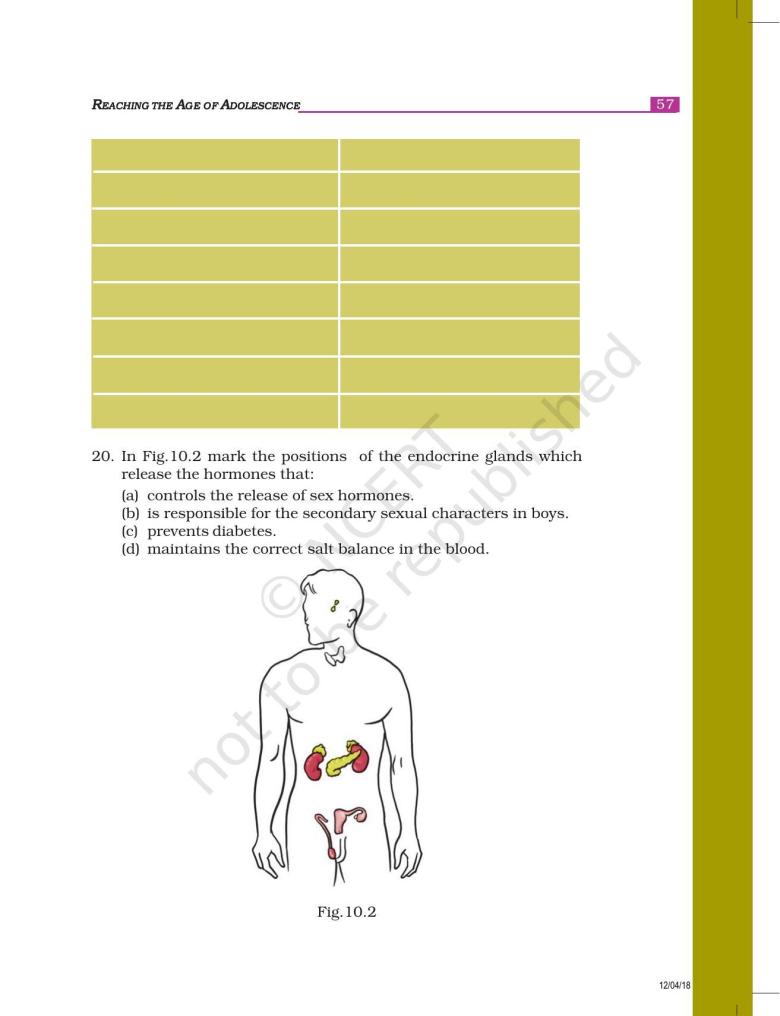 Ncert Exemplar Book For Class 8 Science Chapter 10 Reaching The Age Of