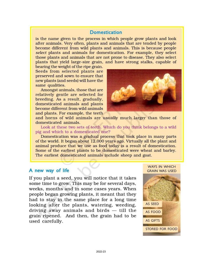 Ncert Book For Class 6 Social Sciencehistory Chapter 2 On The Trail