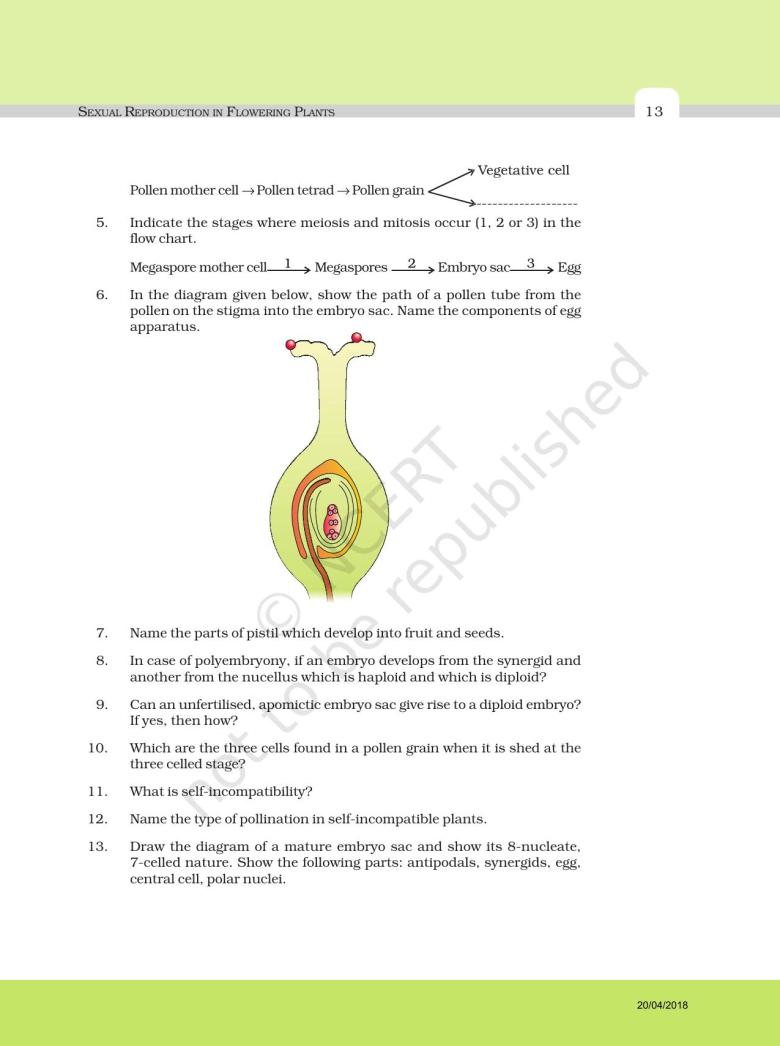 Ncert Exemplar Book For Class 12 Biology Chapter 2 Sexual Reproduction