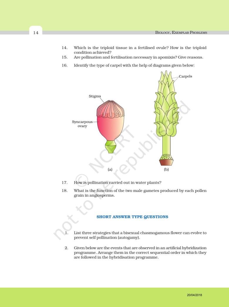 Ncert Exemplar Book For Class 12 Biology Chapter 2 Sexual Reproduction